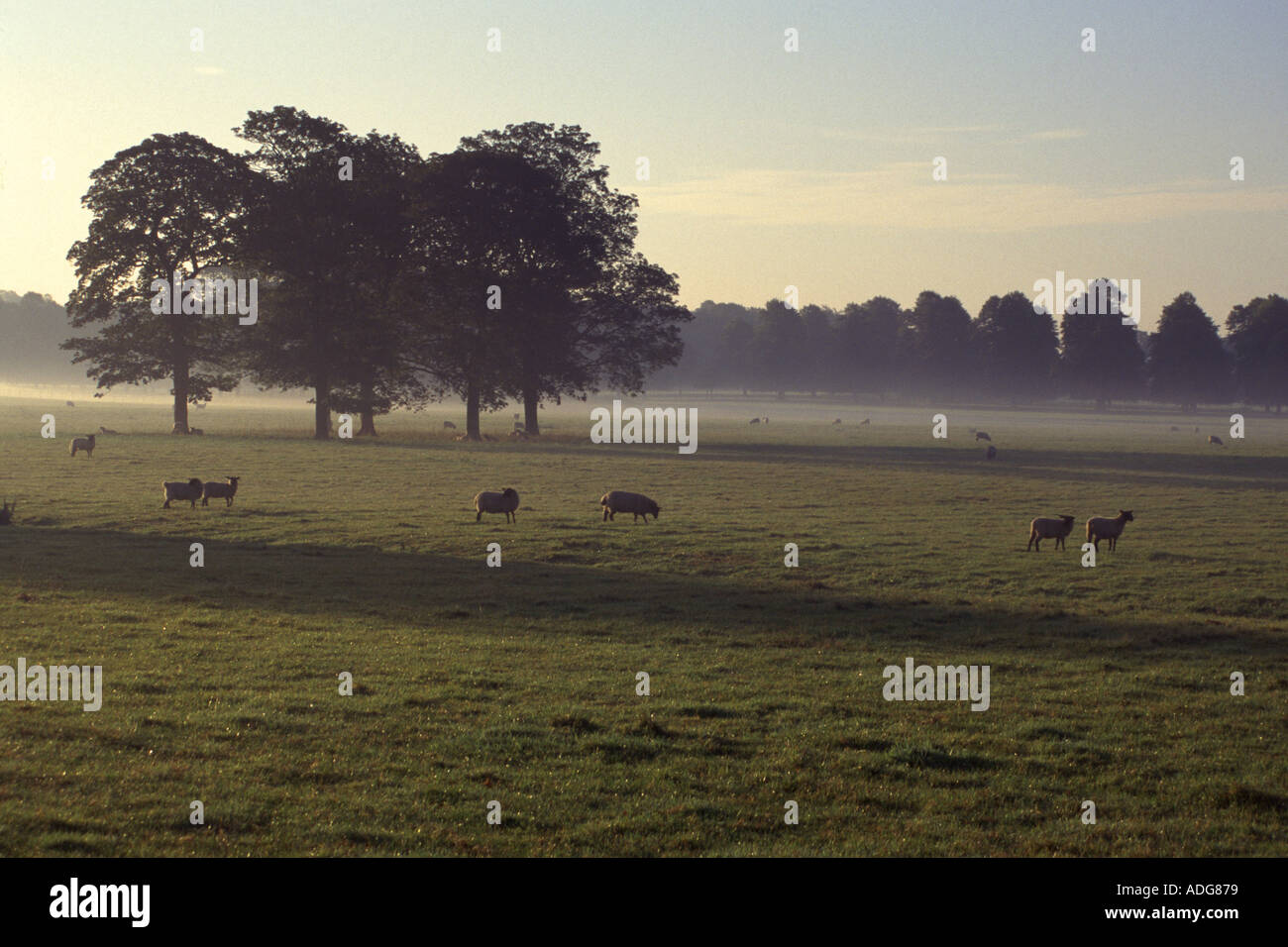 pastoral scene of English countryside Stock Photo - Alamy