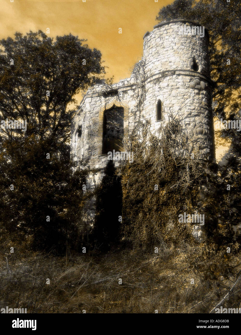 Dinton folly hi-res stock photography and images - Alamy