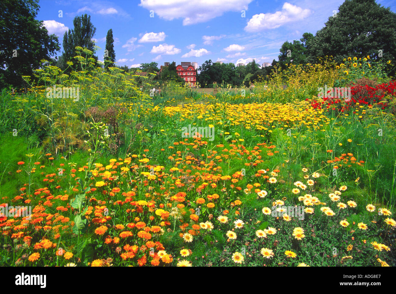 Kew Botanical Gardens London Stock Photo - Alamy Kew Botanical Gardens London Stock Photo - Alamy
