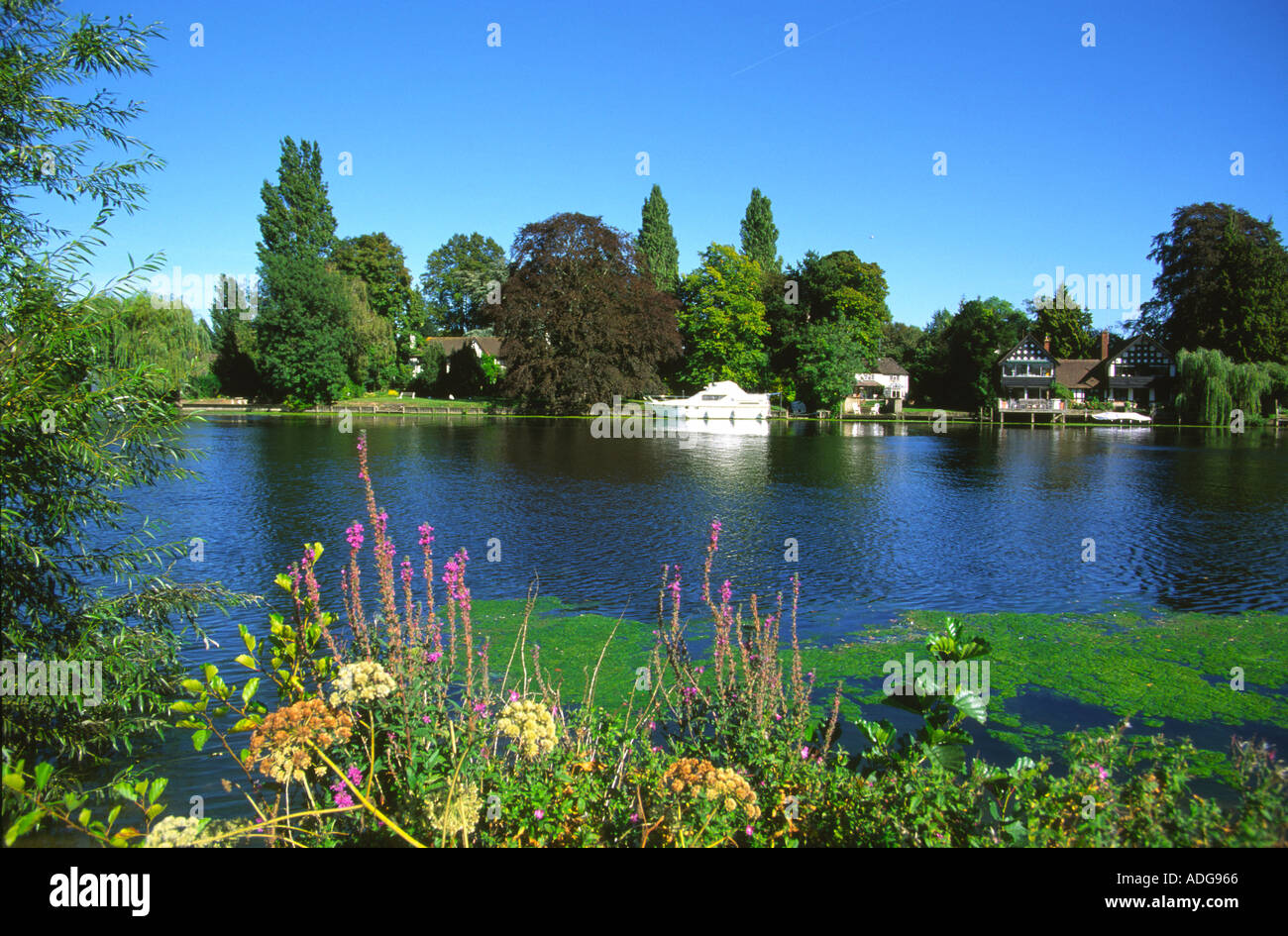 River Thames - Bourne End - Buckinghamshire Stock Photo - Alamy