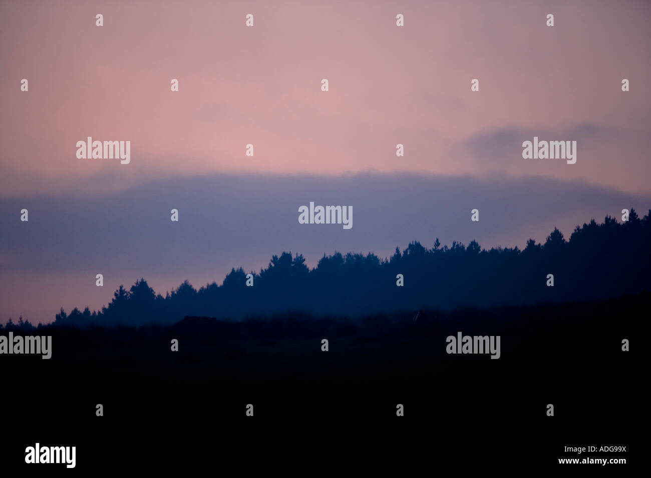 smoke hanging in the sky over a forestry plantation Stock Photo - Alamy