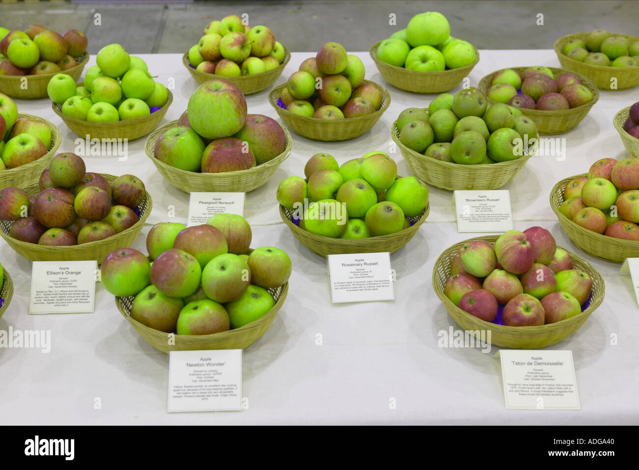 Apple Breeds Stock Photos & Apple Breeds Stock Images - Alamy