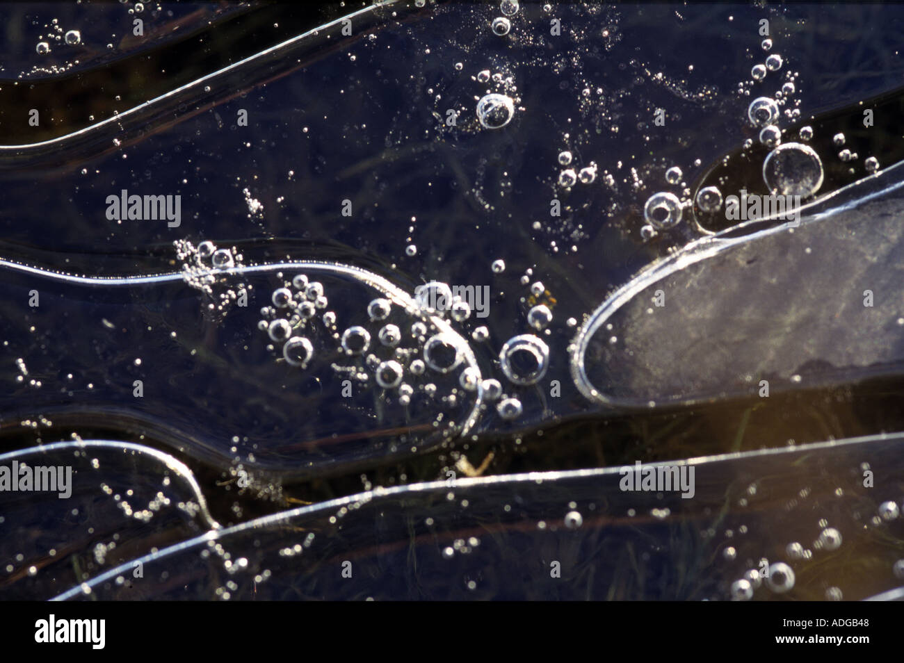Air bubbles trapped in ice in puddle Stock Photo - Alamy