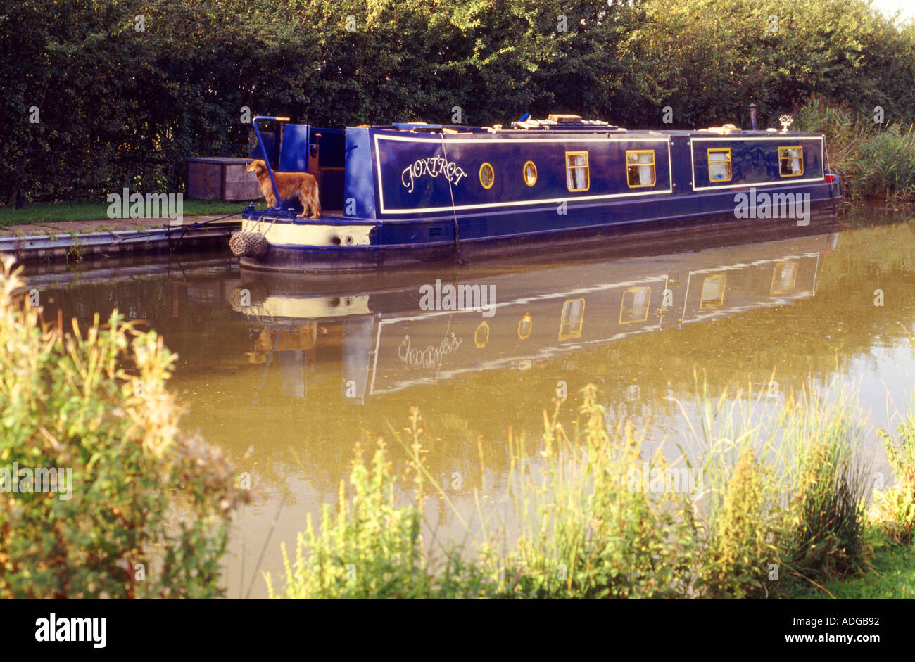 NARROW BOAT WORCESTER ENGLAND UK Stock Photo - Alamy
