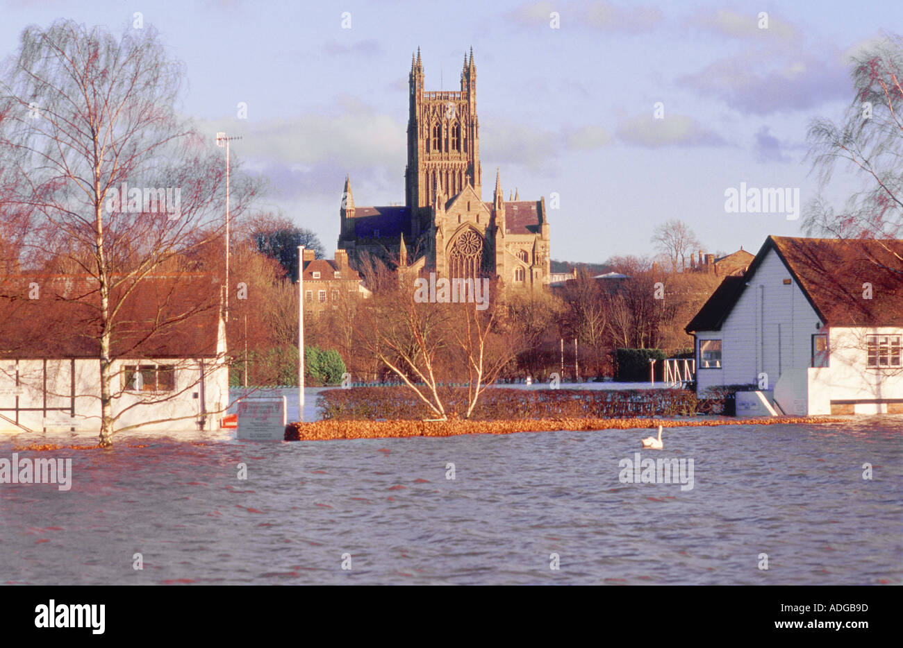 FLOODS NEW ROAD CRICKET GROUND WORCESTER ENGLAND UK Stock Photo - Alamy