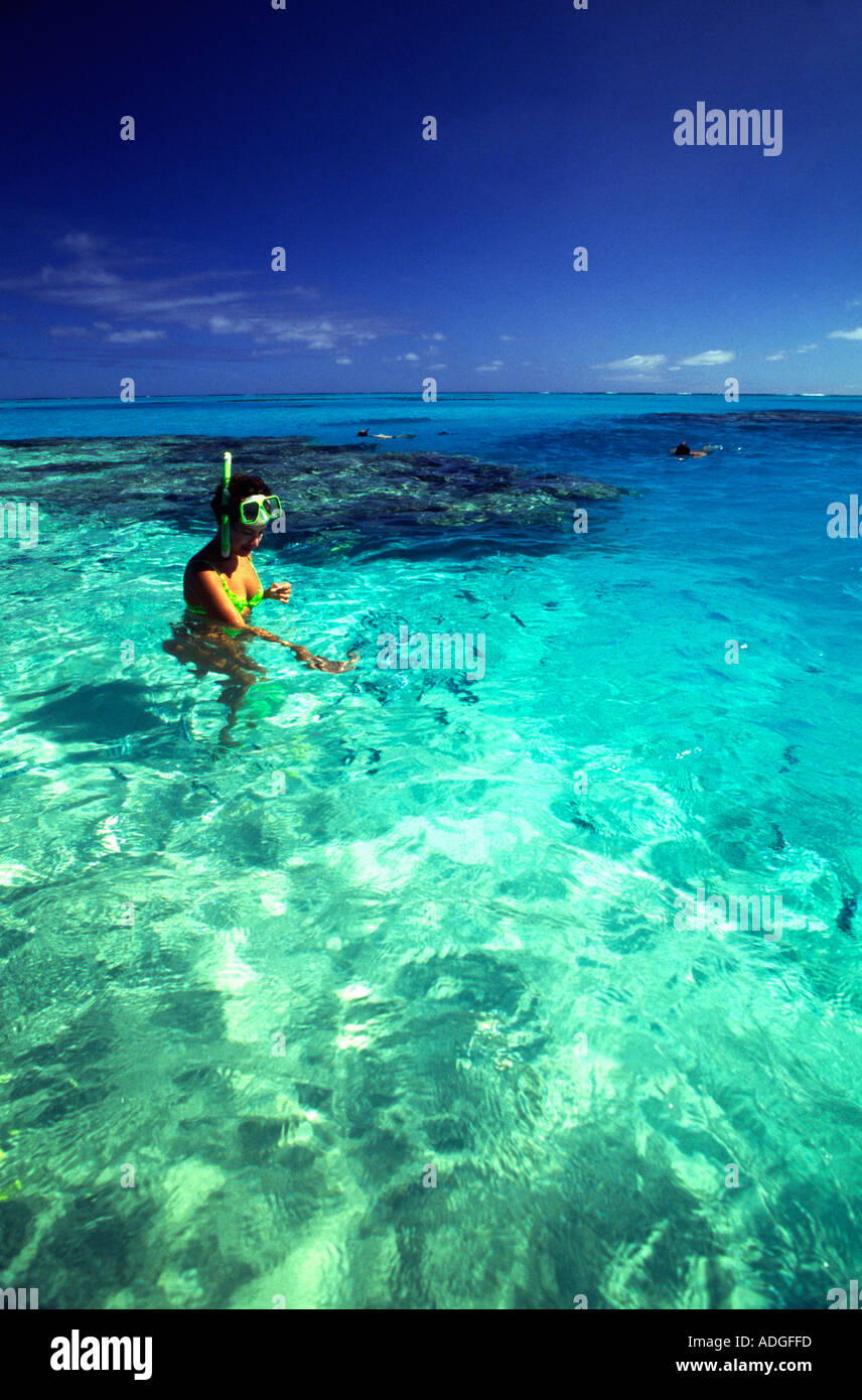 Woman feeding fish in the lagoon surrounding Aitutaki Cook Islands ...
