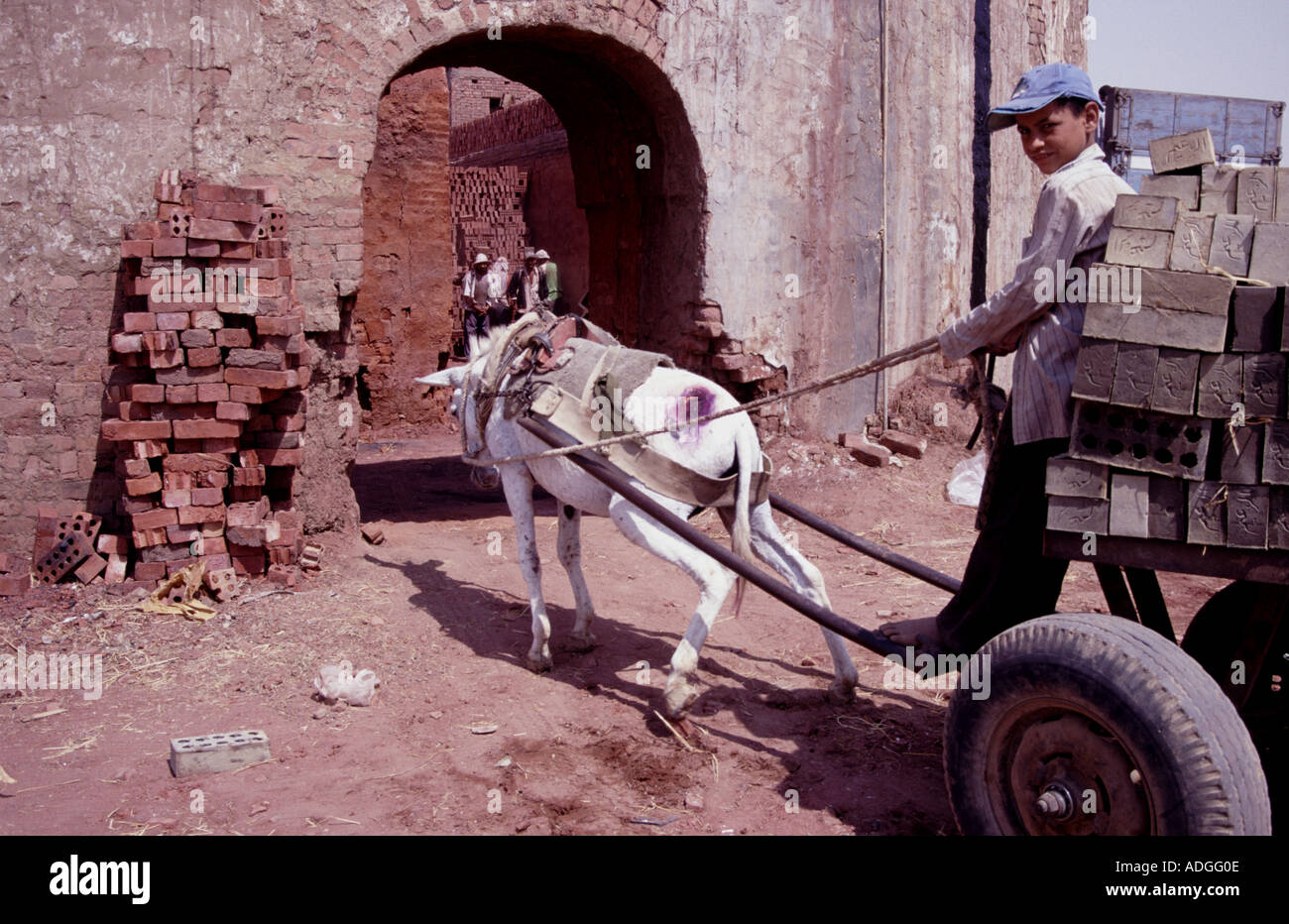Boy drives a donkey to work in the brick kilns Cairo Egypt Stock Photo ...