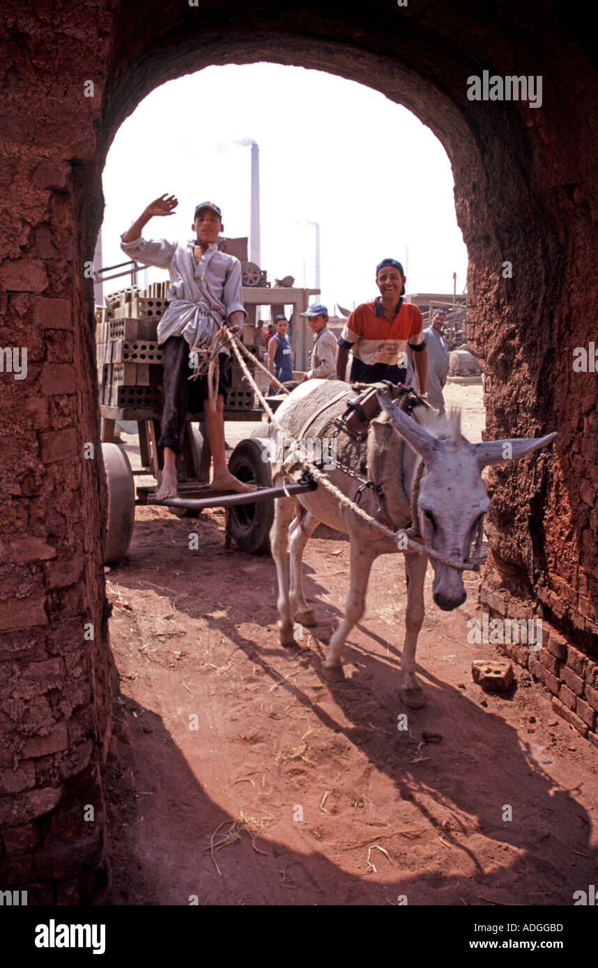 Boy drives a donkey to work in the brick kilns Cairo Egypt Stock Photo ...