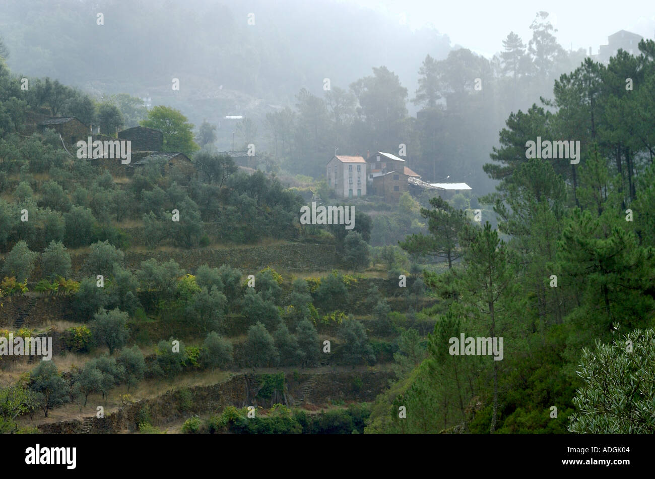 Portugal attractive landscape rural Stock Photo - Alamy