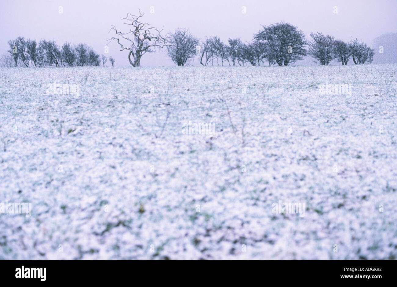 Sydling, dorset hi-res stock photography and images - Alamy