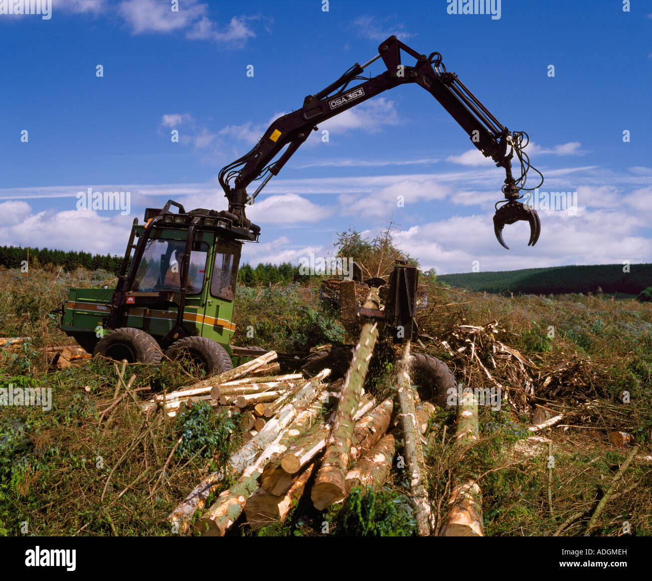 Forest of ae scotland hi-res stock photography and images - Alamy