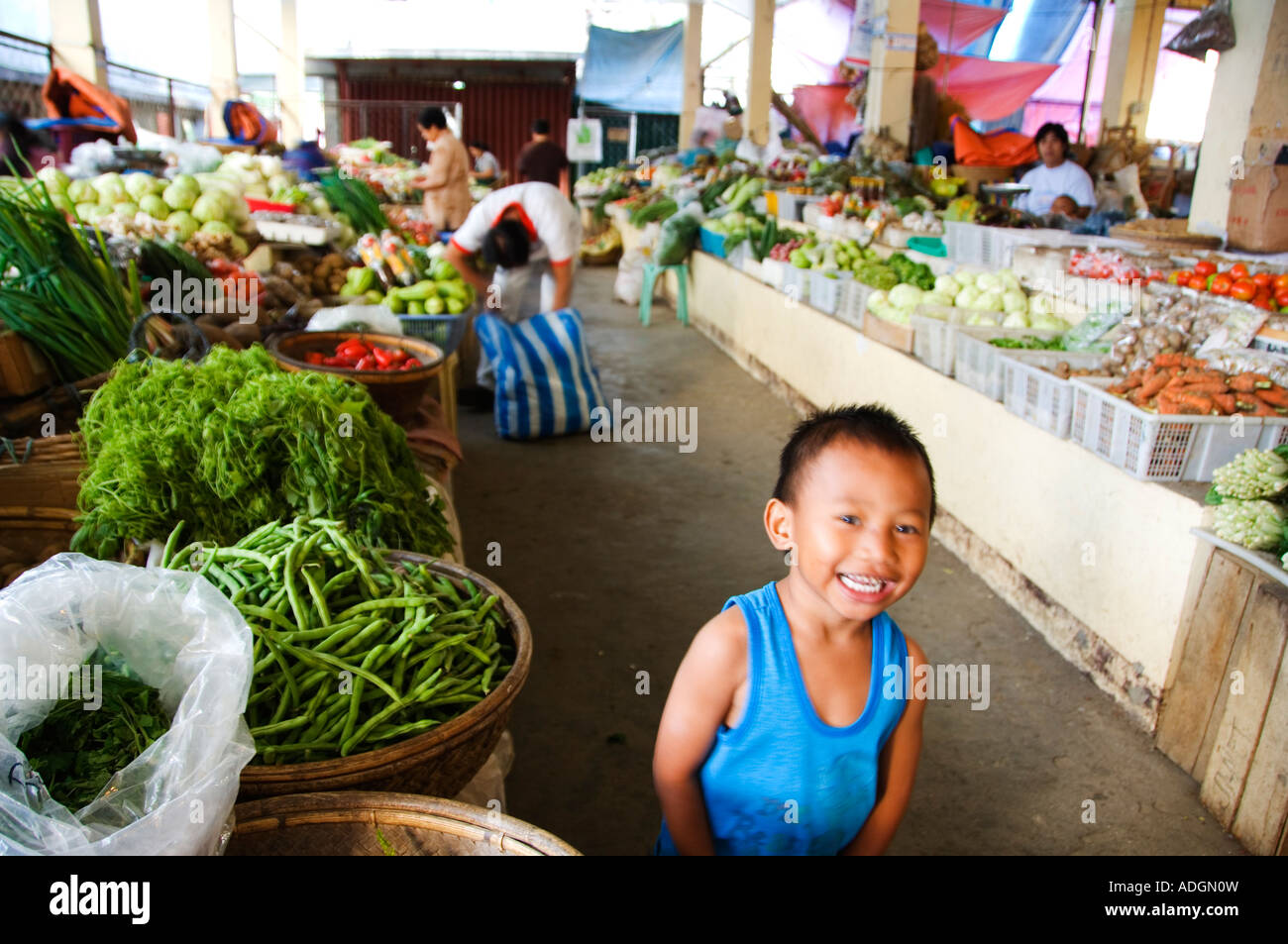 Philippines Luzon Island The Cordillera Mountains Mountain Province ...