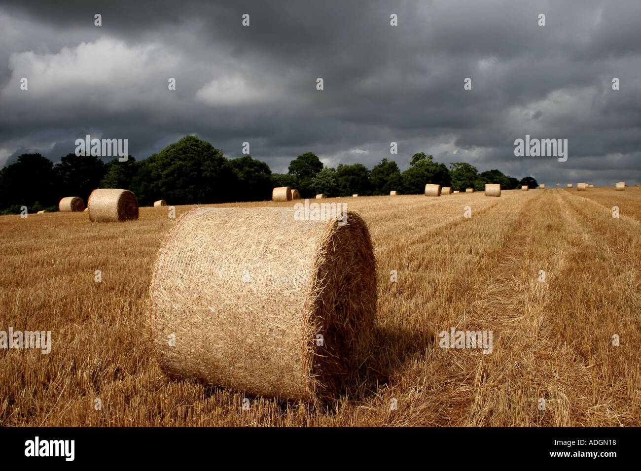 Rolling Fields in Sussex at Danehill Stock Photo - Alamy