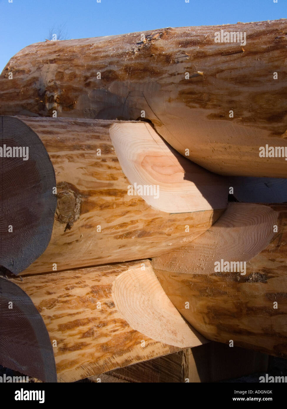 Log Cabin Being Built Stock Photo - Alamy