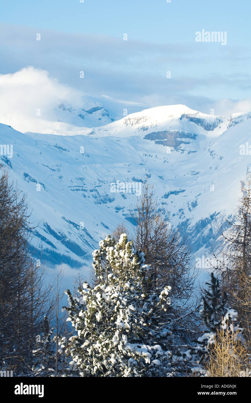 Switzerland scenery winters snow tree hi-res stock photography and ...