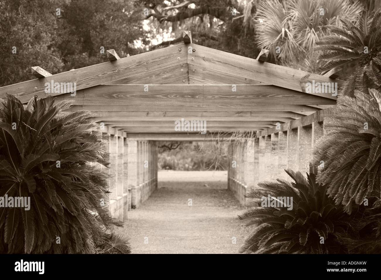 old arbor structure cumberland island national seashore georgia Stock ...