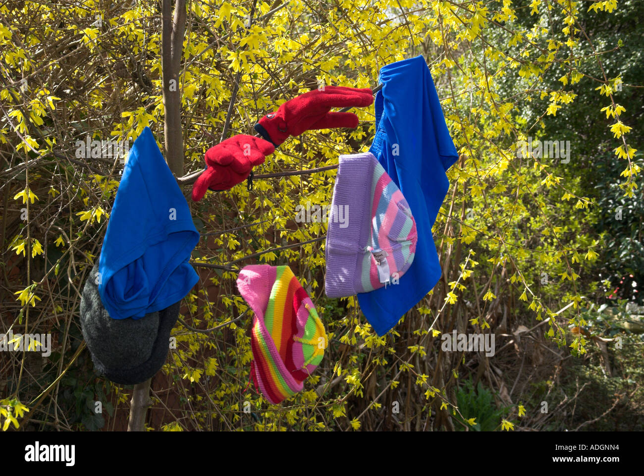 colourful childrens clothes hanging in tree Stock Photo - Alamy