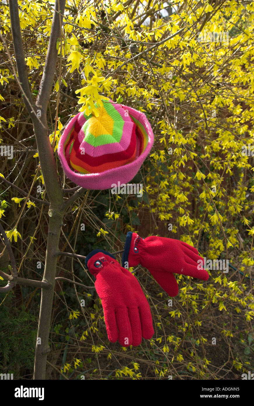 colourful childrens clothes hanging in tree Stock Photo - Alamy