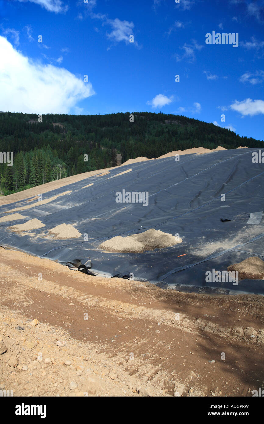 Old mine waste rock rehabilitation Duthie Mine Smithers British ...