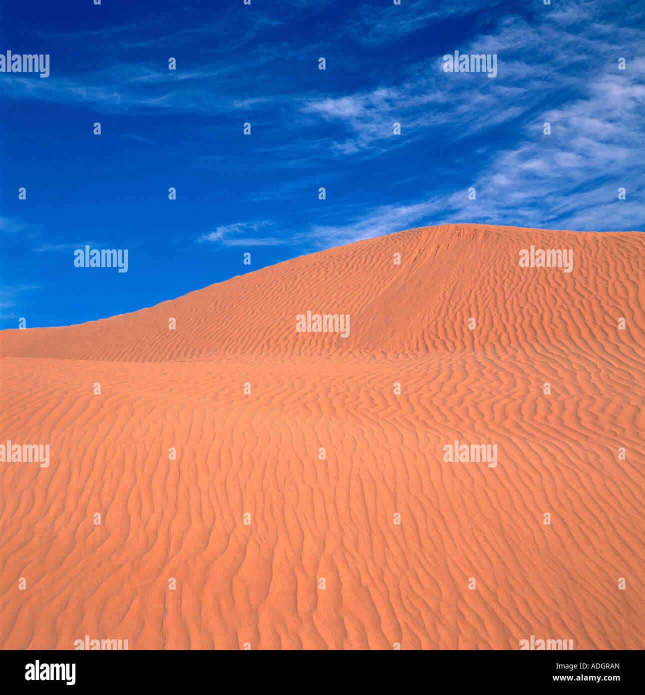 Nr Douz Tunisia Grand Erg Oriental Sahara Desert Sand Dunes Stock Photo ...