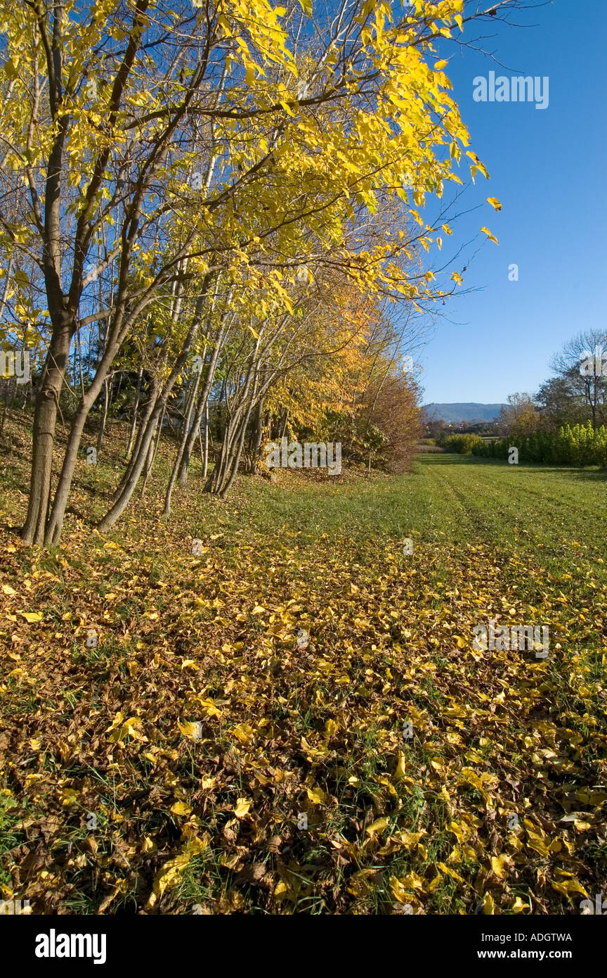 country in autumn Stock Photo - Alamy