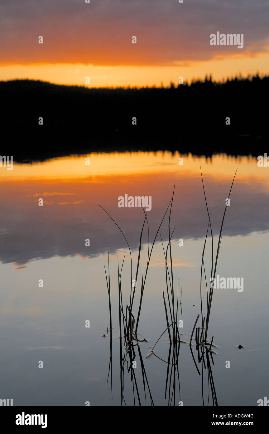 Sunset by a lake Stock Photo - Alamy