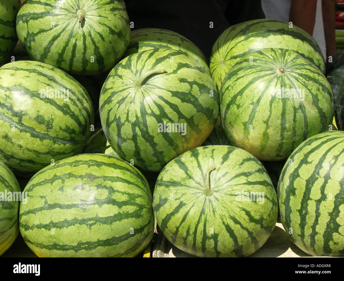 Dark watermelons hi-res stock photography and images - Alamy