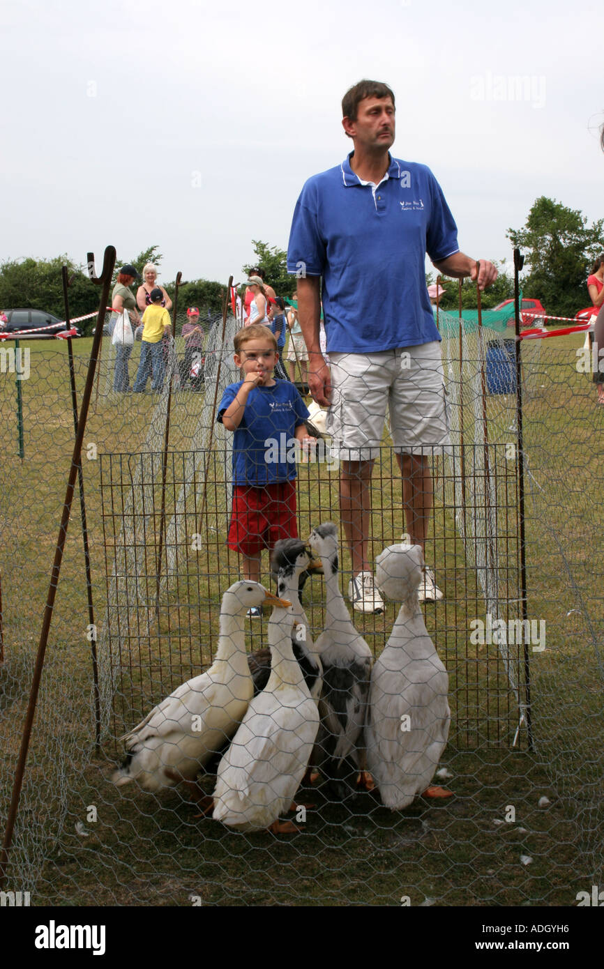 Duck racing at a garden fete in a village in the new Forest Hampshire ...