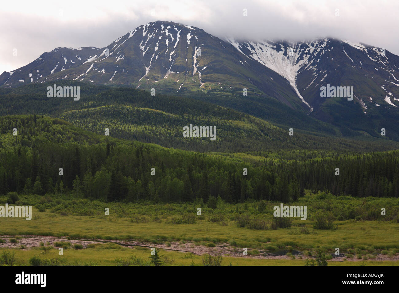 Iskut Stock Photos & Iskut Stock Images - Alamy