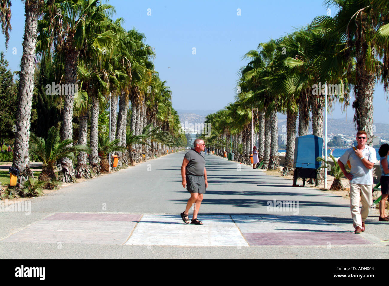 Cyprus tree lined road hi-res stock photography and images - Alamy