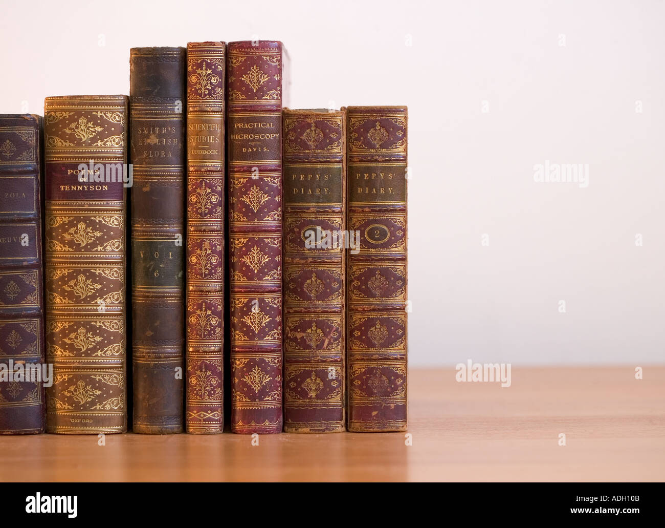 Collecting books hi-res stock photography and images - Alamy