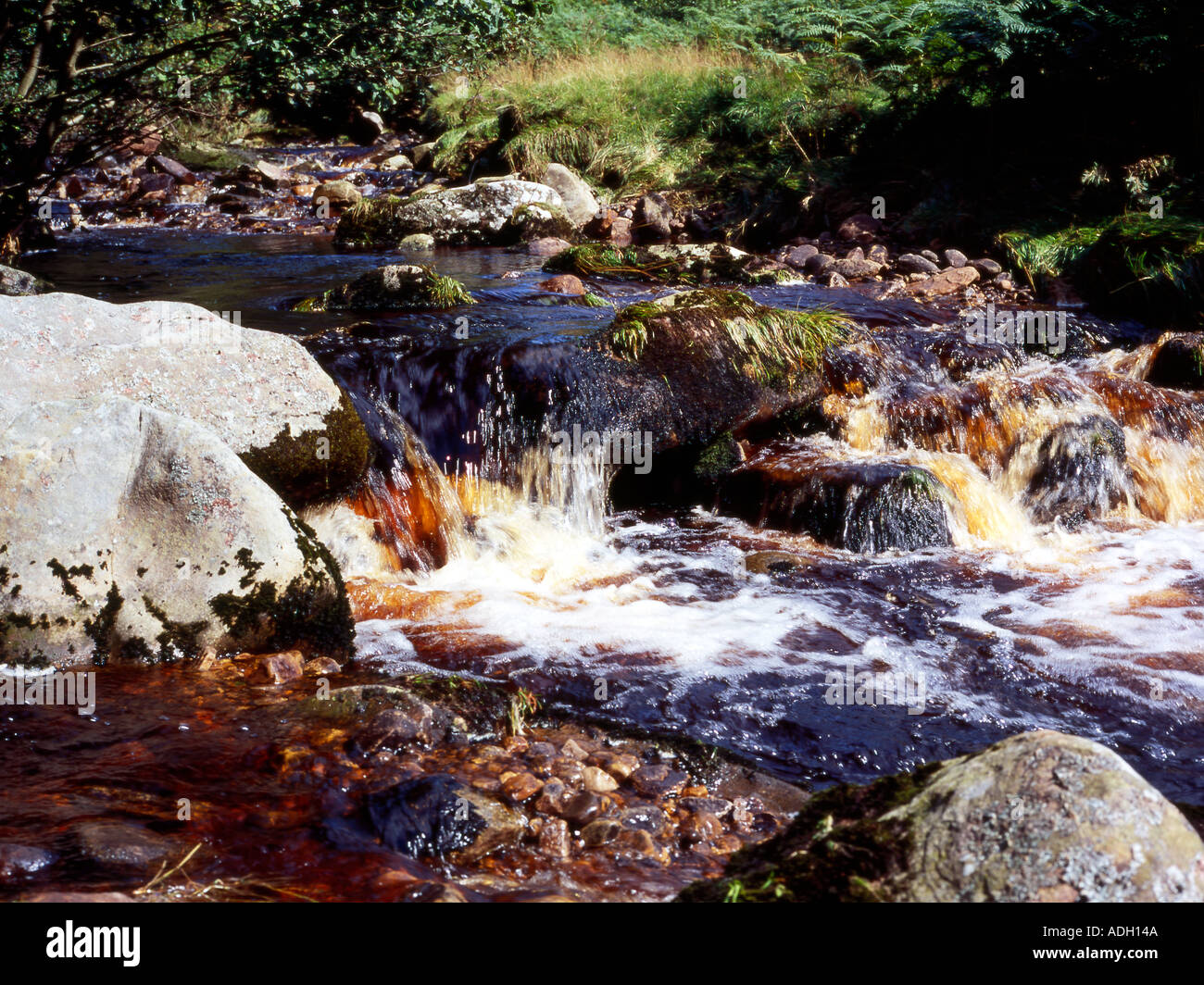 Posforth Gill in the Valley of Desolation on the Bolton Abbey Estate ...