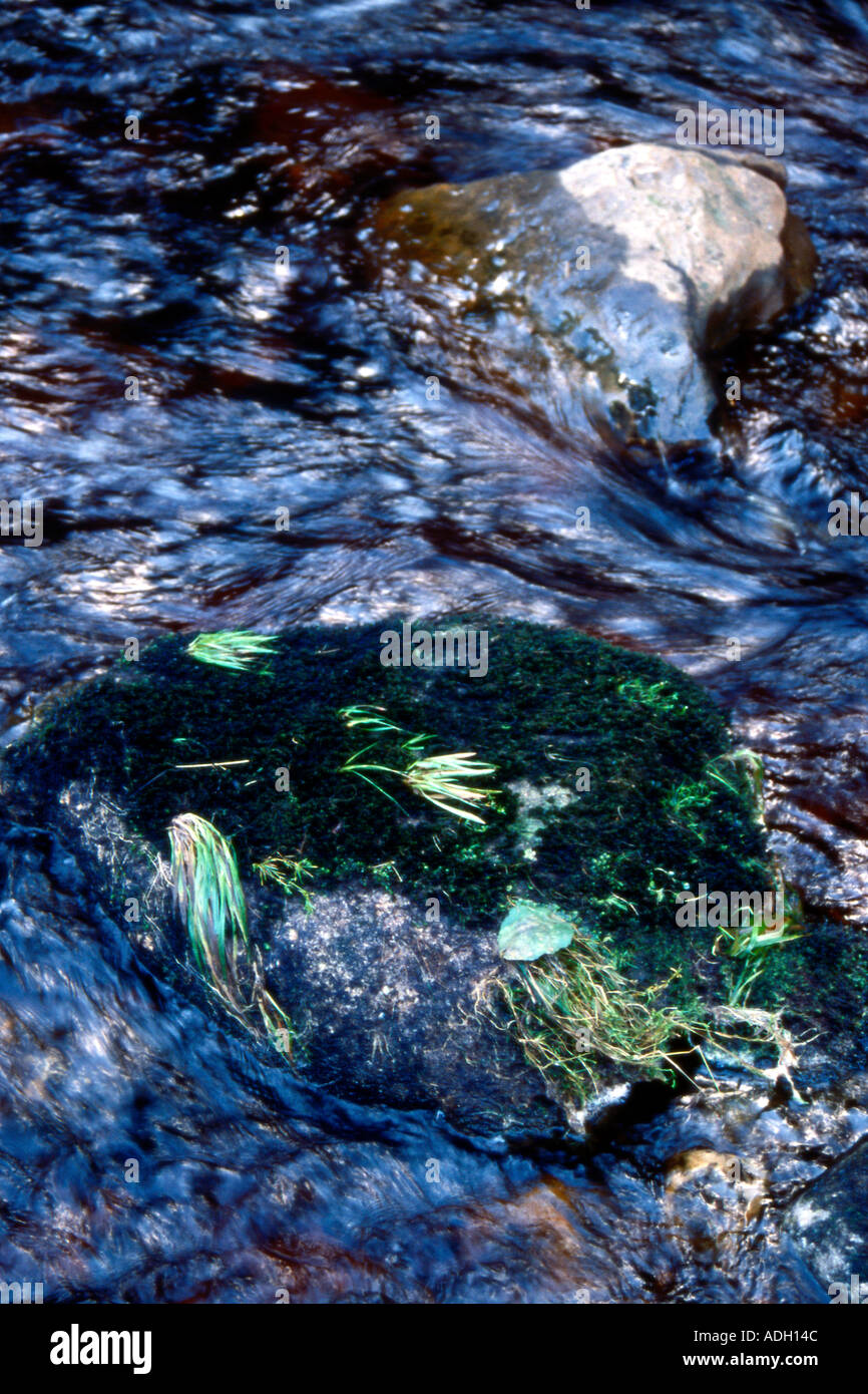 Valley of desolation on bolton abbey estate hi-res stock photography ...