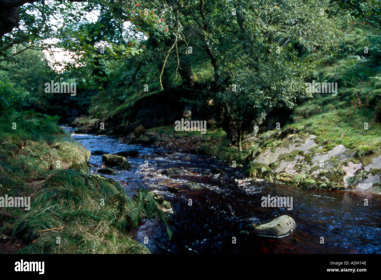 Posforth gill waterfall hi-res stock photography and images - Alamy