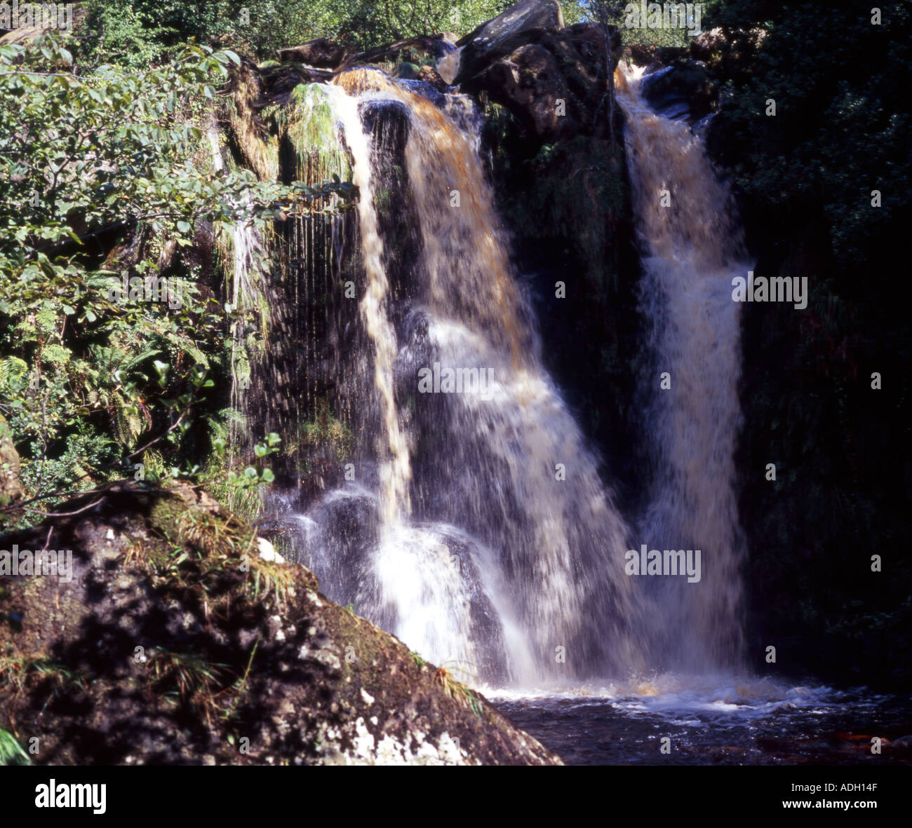 Waterfall Posforth Gill in the Valley of Desolation on the Bolton Abbey ...