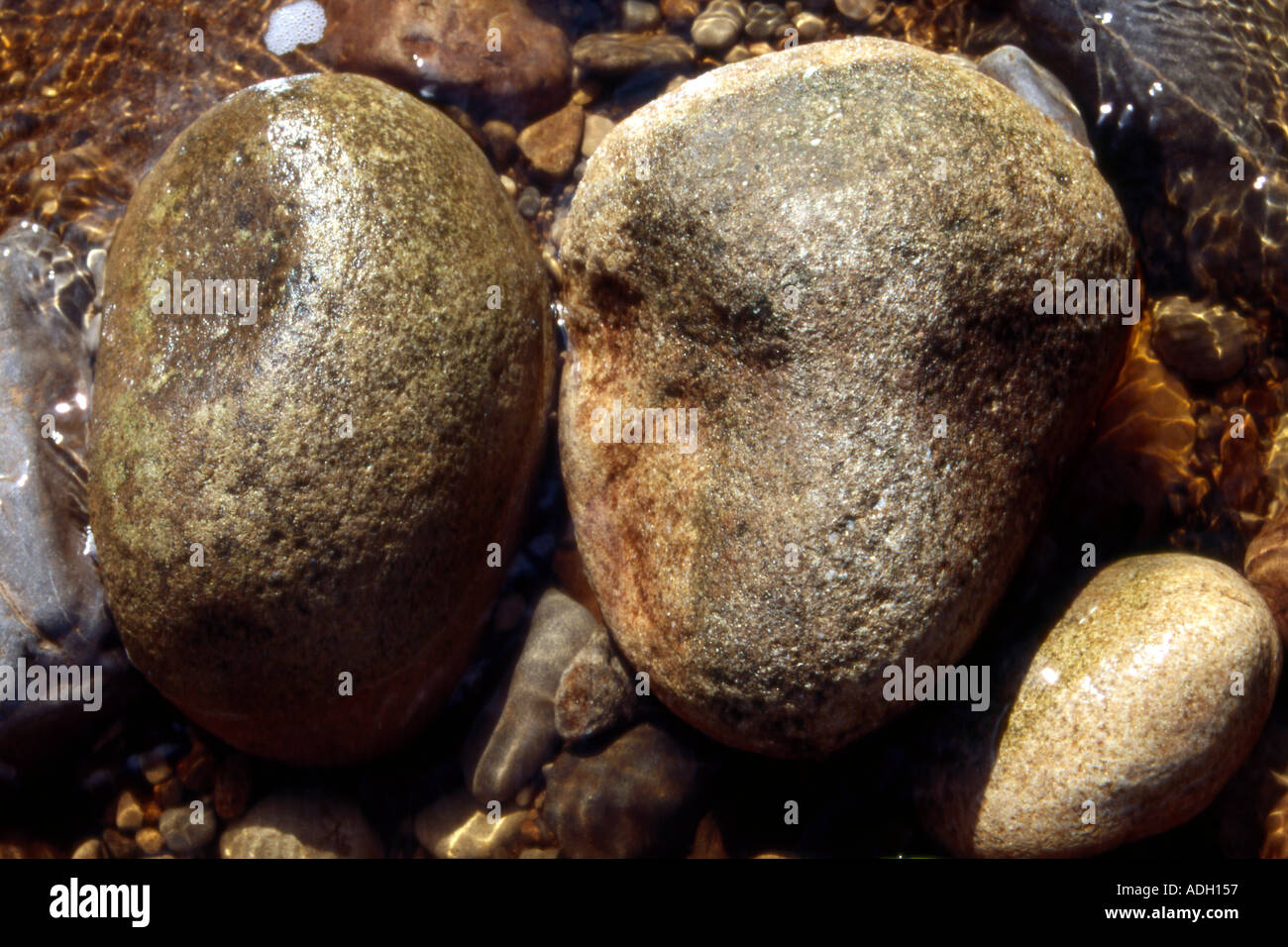 Rounded river rocks hi-res stock photography and images - Alamy