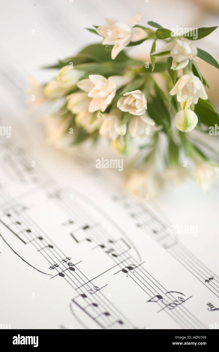 Still life of flowers and sheet music Stock Photo - Alamy