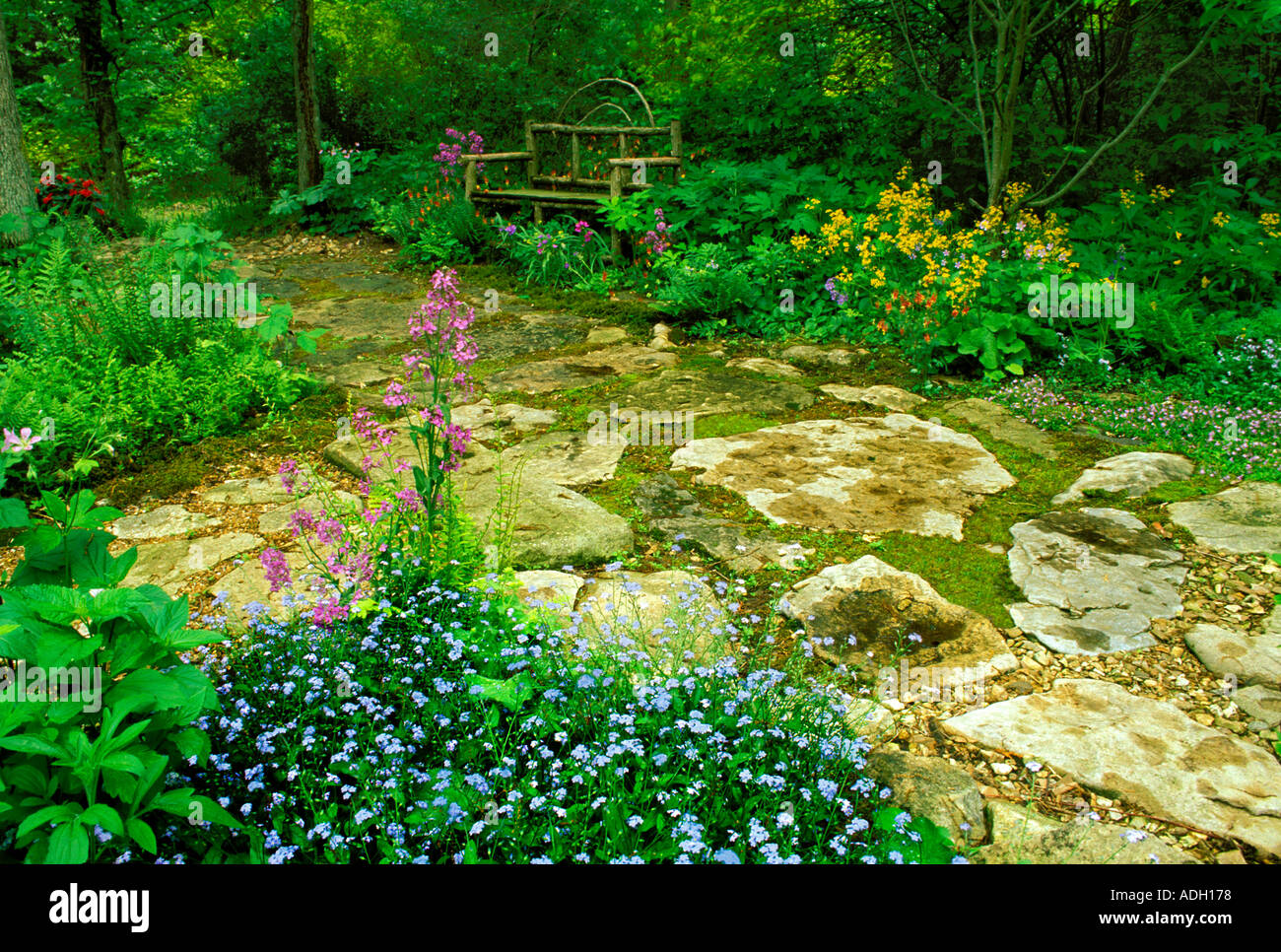 Tranquil bench shady path hi-res stock photography and images - Alamy
