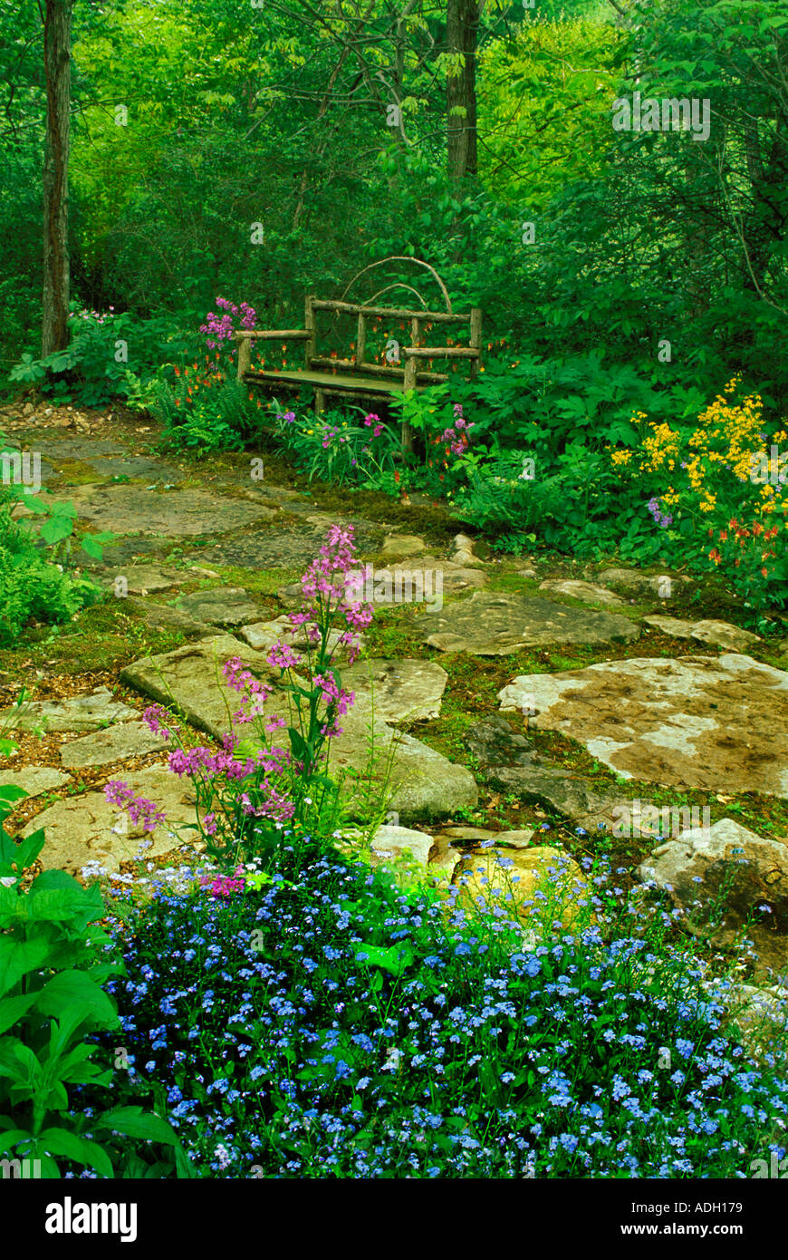 Rustic handmade cedar bench in secluded part of shady spring garden ...