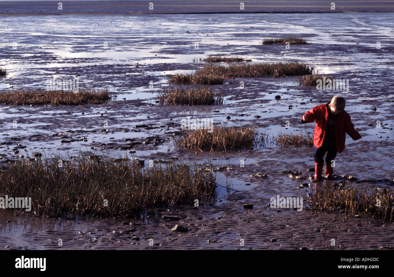 BESIDE THE SEASIDE 04 young boy wading on thurstaston beach wirral ...