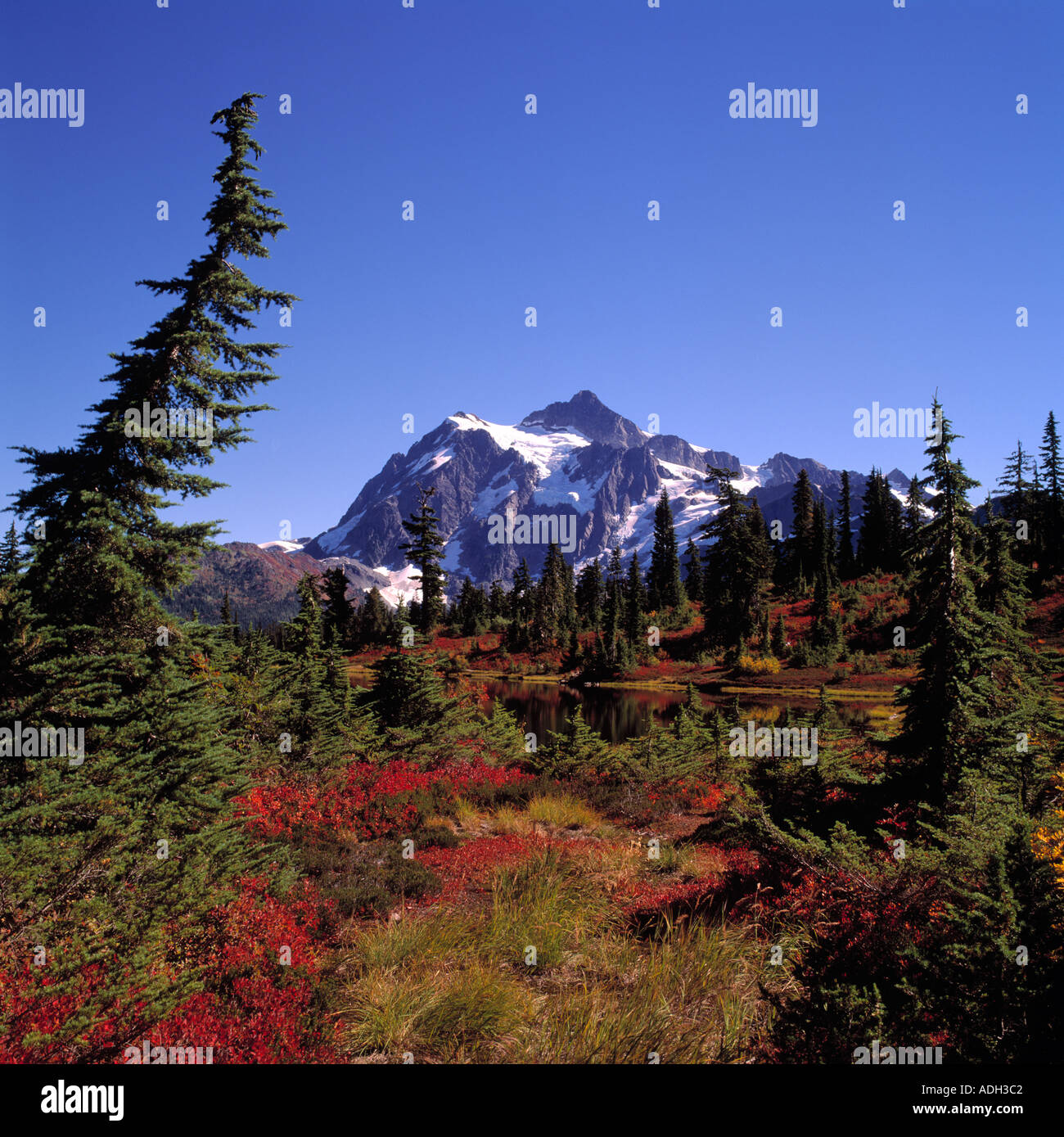 Heather meadows recreation area hi-res stock photography and images - Alamy