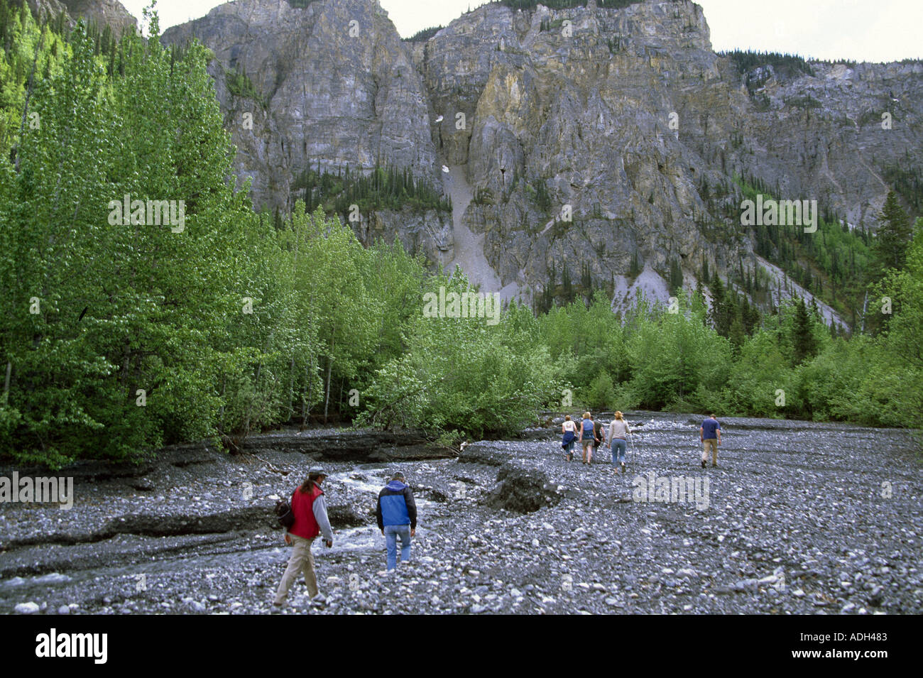 Nizina hi-res stock photography and images - Alamy