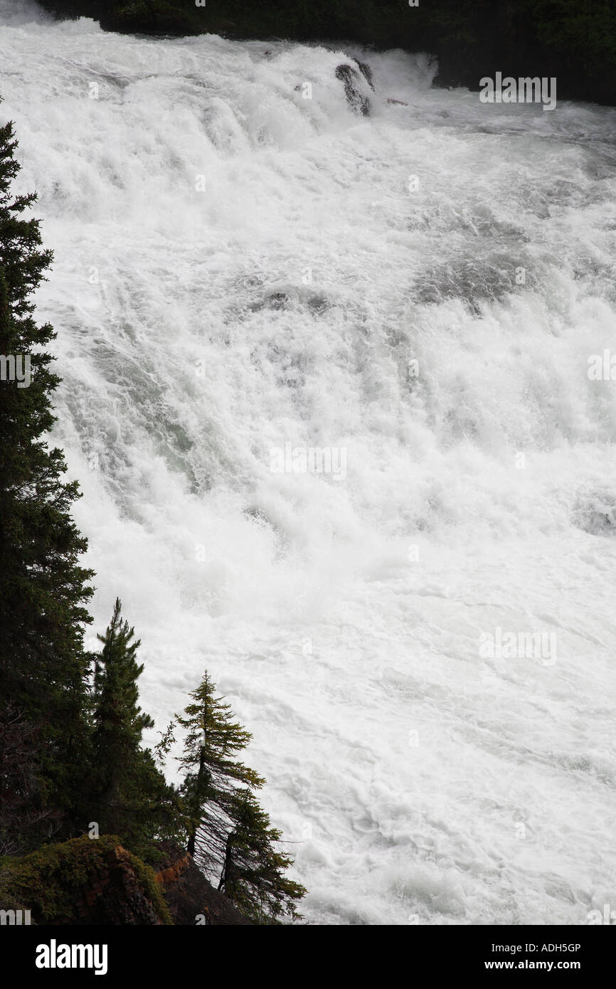 Kinaskan lake provincial park hi-res stock photography and images - Alamy