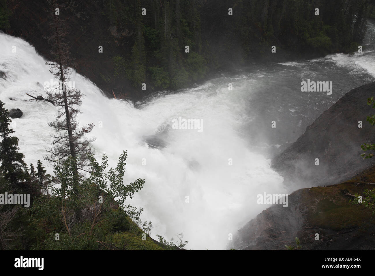 Kinaskan lake provincial park hi-res stock photography and images - Alamy
