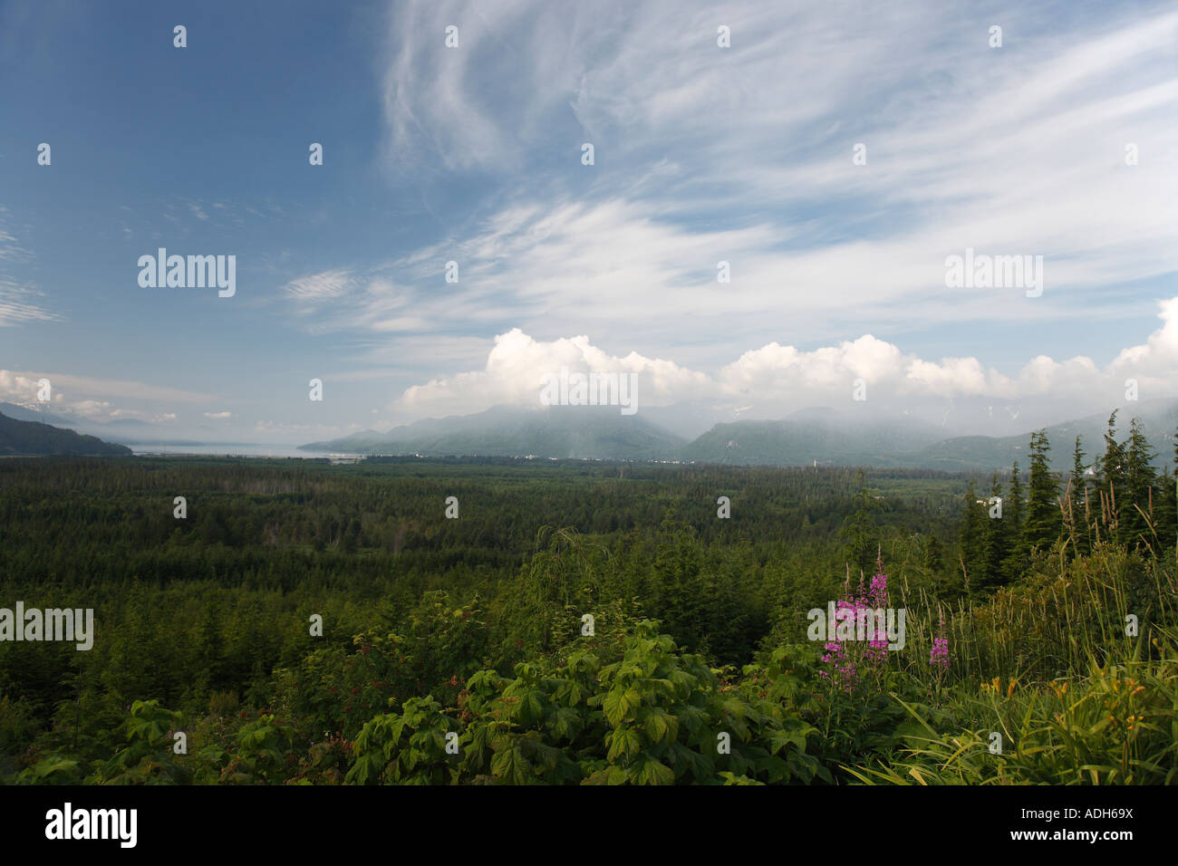 Douglas channel british columbia hi-res stock photography and images ...
