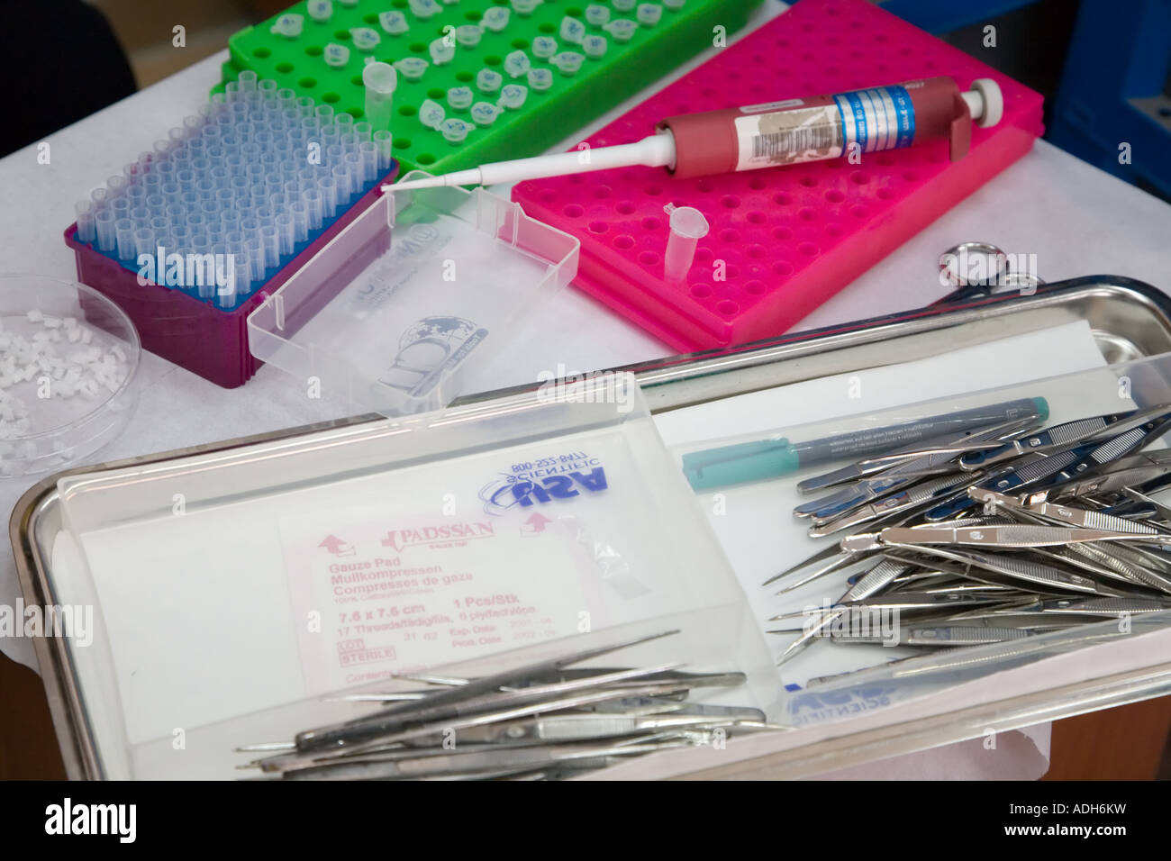 Stock photo of basic tools for DNA sampling Shot July 2007 Stock Photo ...