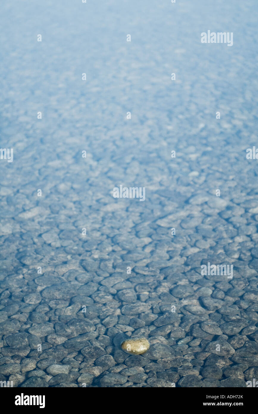 Close up shot underwater shallow hi-res stock photography and images ...