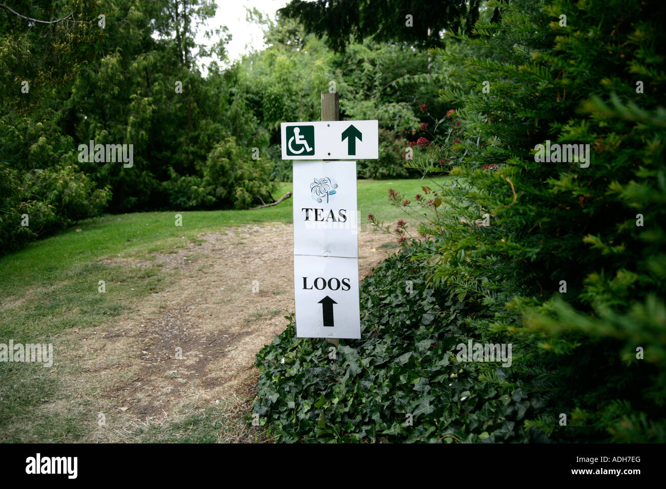 'Teas and loos' direction sign, England UK Stock Photo - Alamy