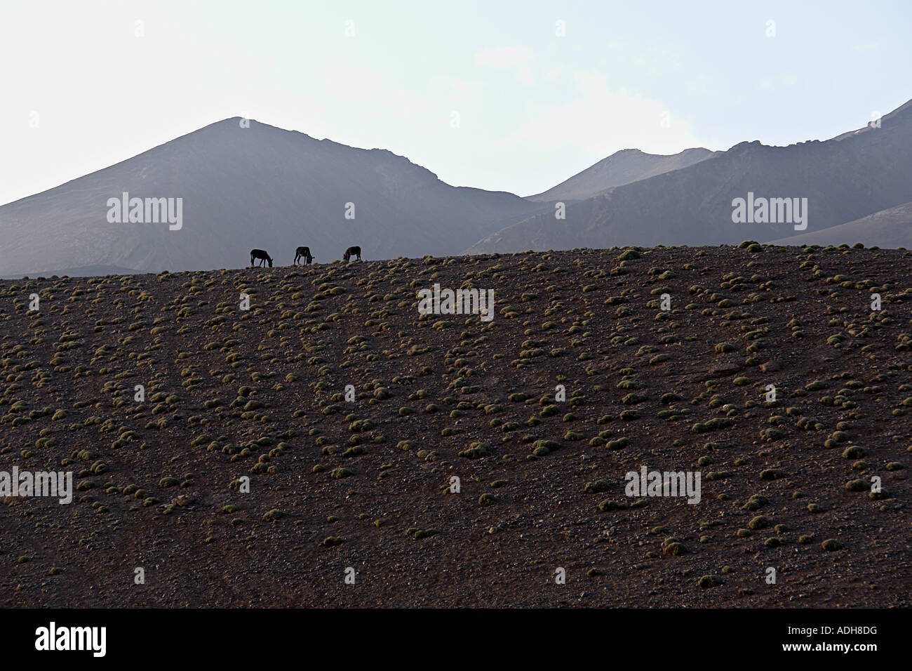 Landscape of the High Atlas Region - Morocco Stock Photo - Alamy
