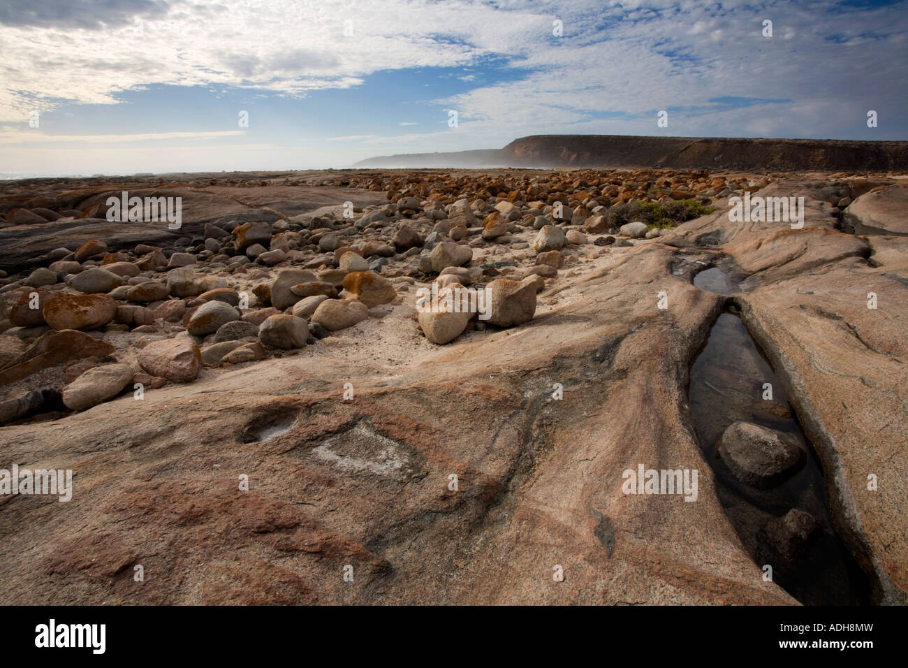 Streaky hi-res stock photography and images - Alamy